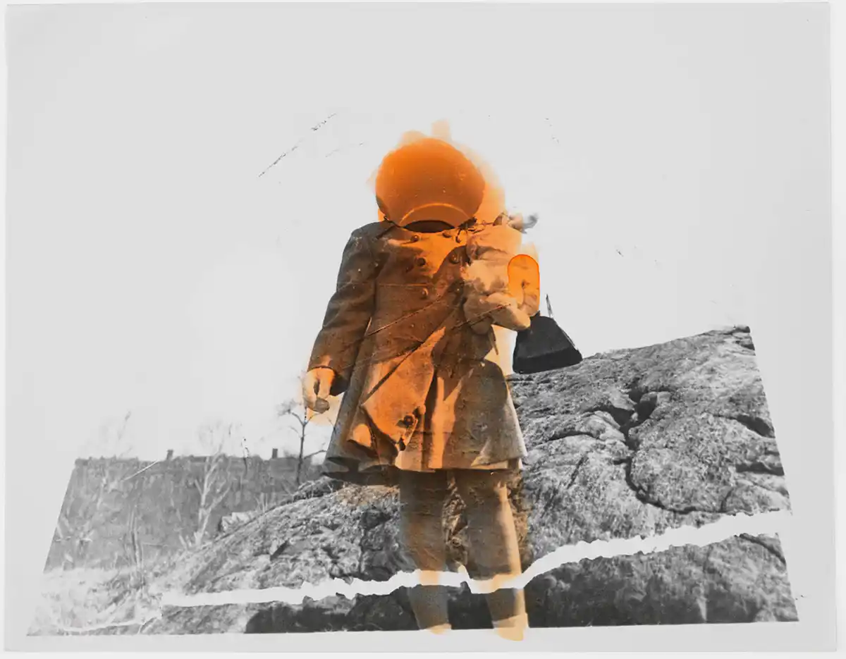 Milwaukee Art Museum | Darrel Ellis: Regeneration