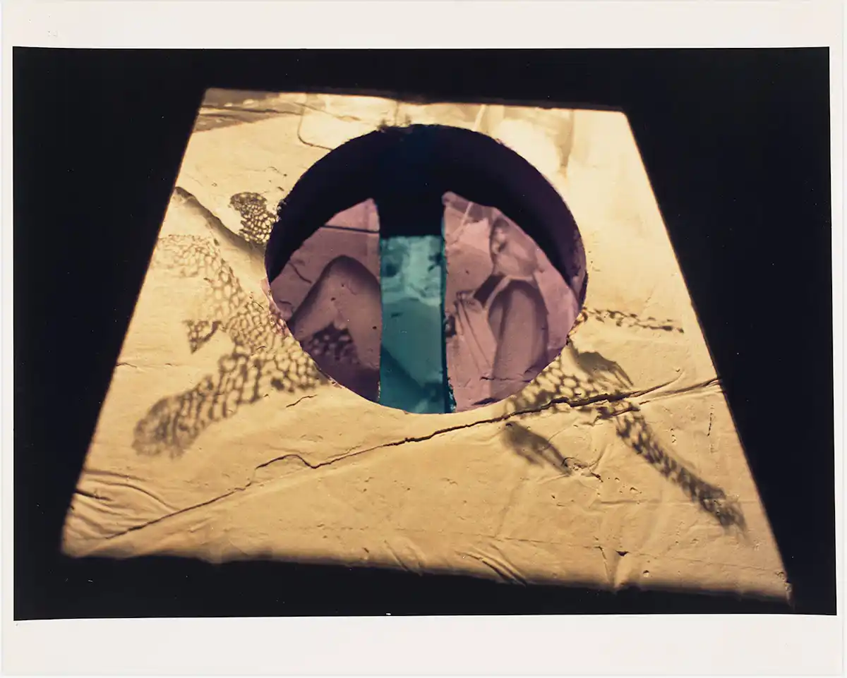 Milwaukee Art Museum | Darrel Ellis: Regeneration