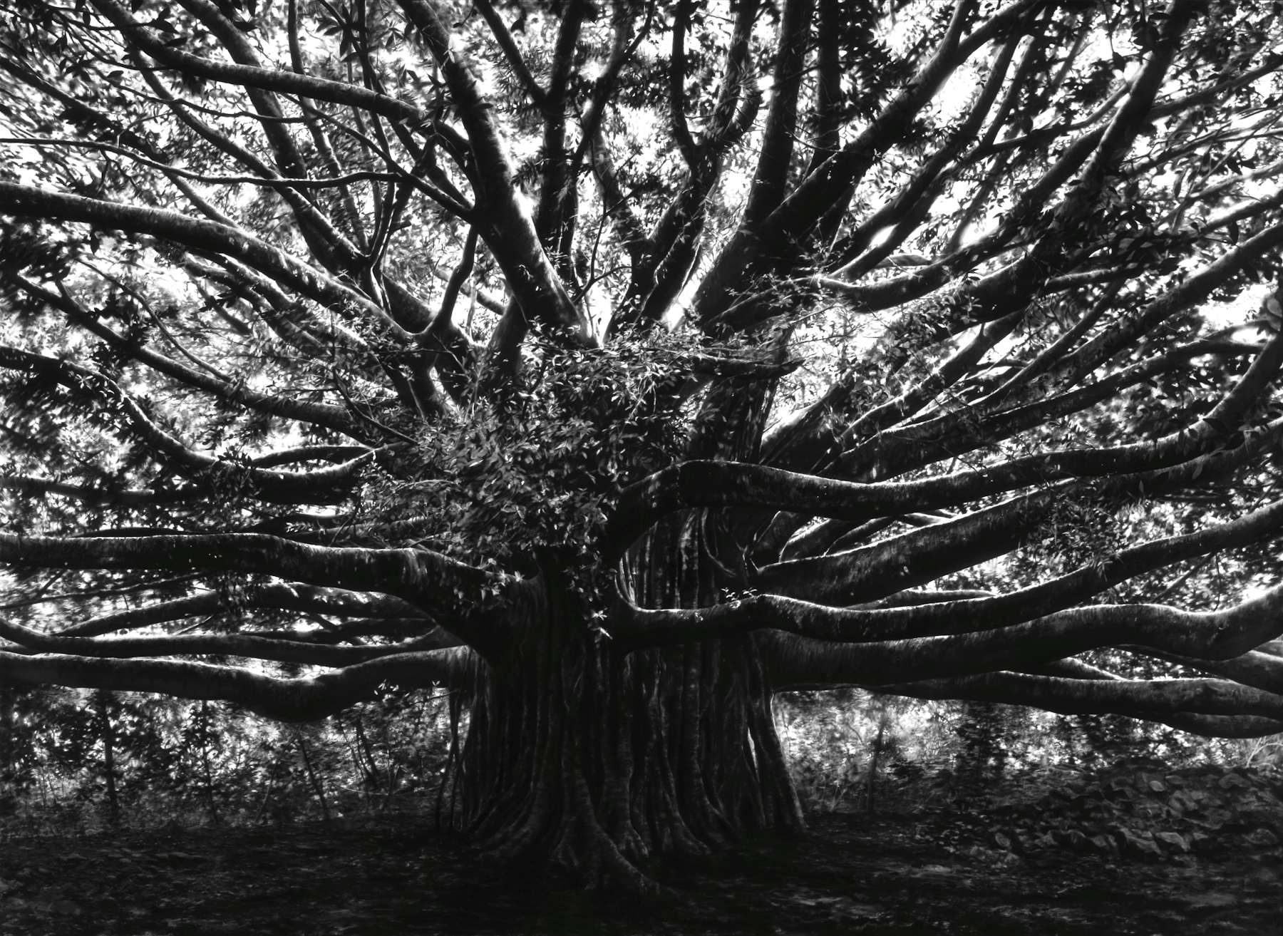 Milwaukee Art Museum | Robert Longo: The Acceleration of History