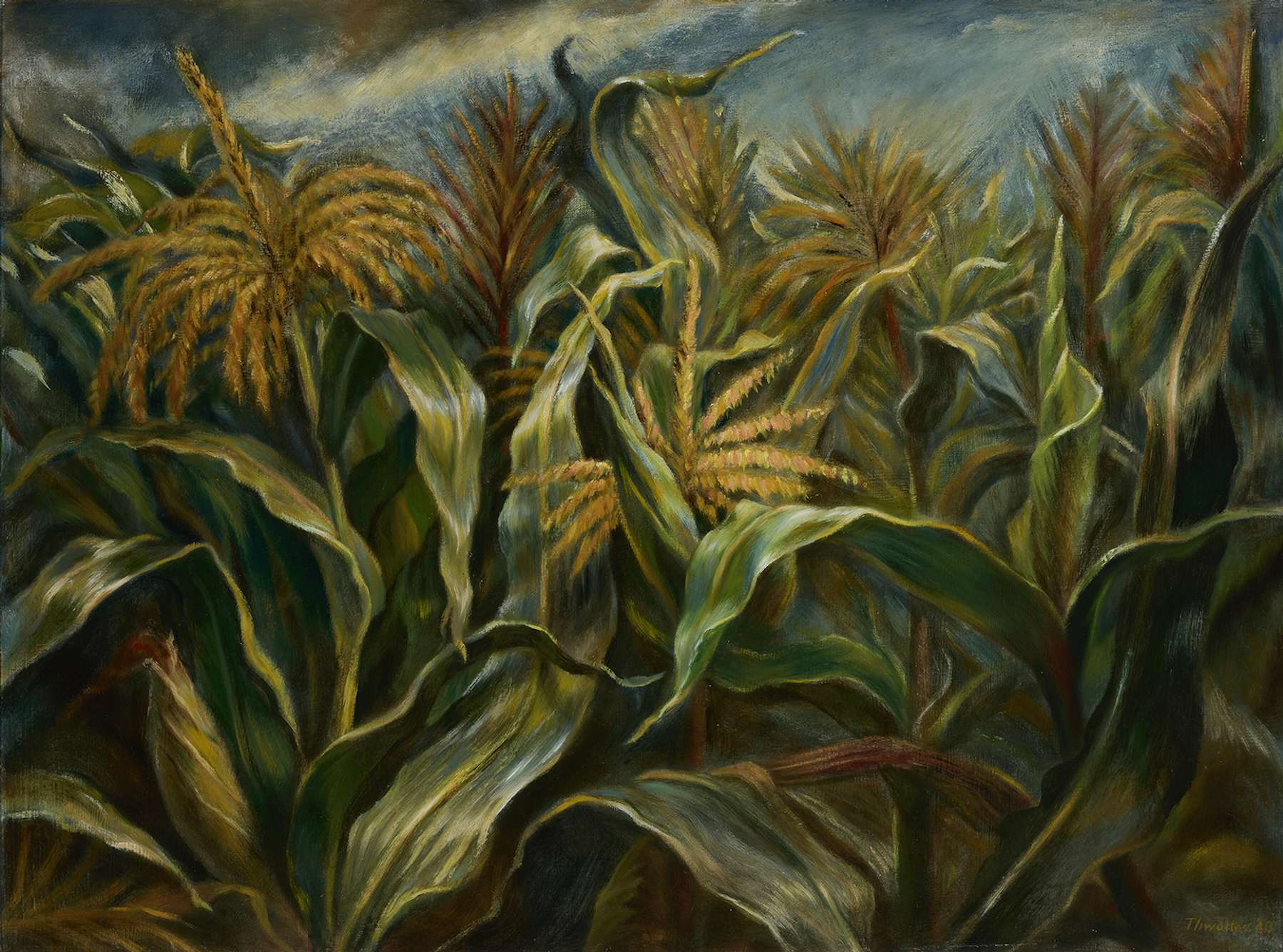 Milwaukee Art Museum | Farm to Frame